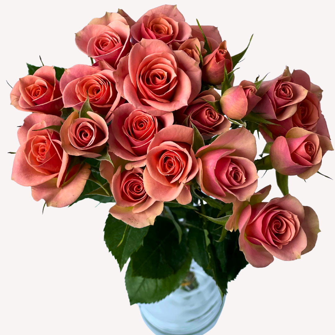 ILSE SPRAY ROSES – Bakari Flowers